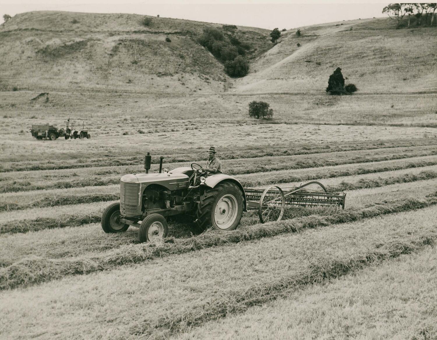Photograph - Massey Ferguson, Hay rake, 1948