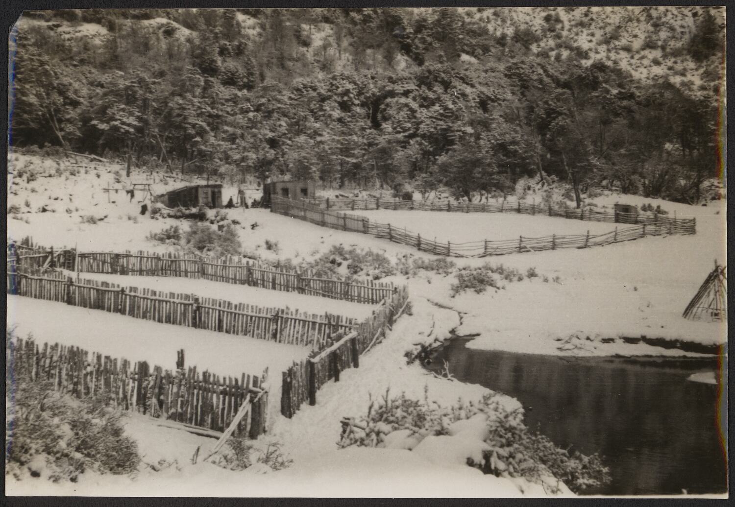 Photograph. Yaghan. Hoste Island, Tierra del Fuego, Chilean Antarctic ...