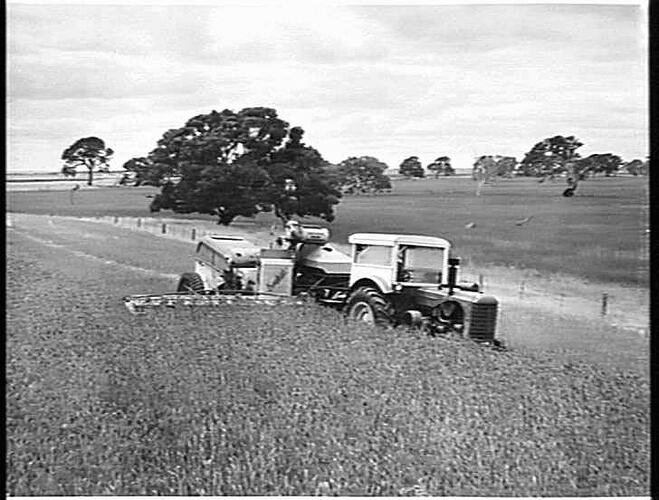 Photograph - H.V. McKay Massey Harris, Farm Equipment Manufacture ...