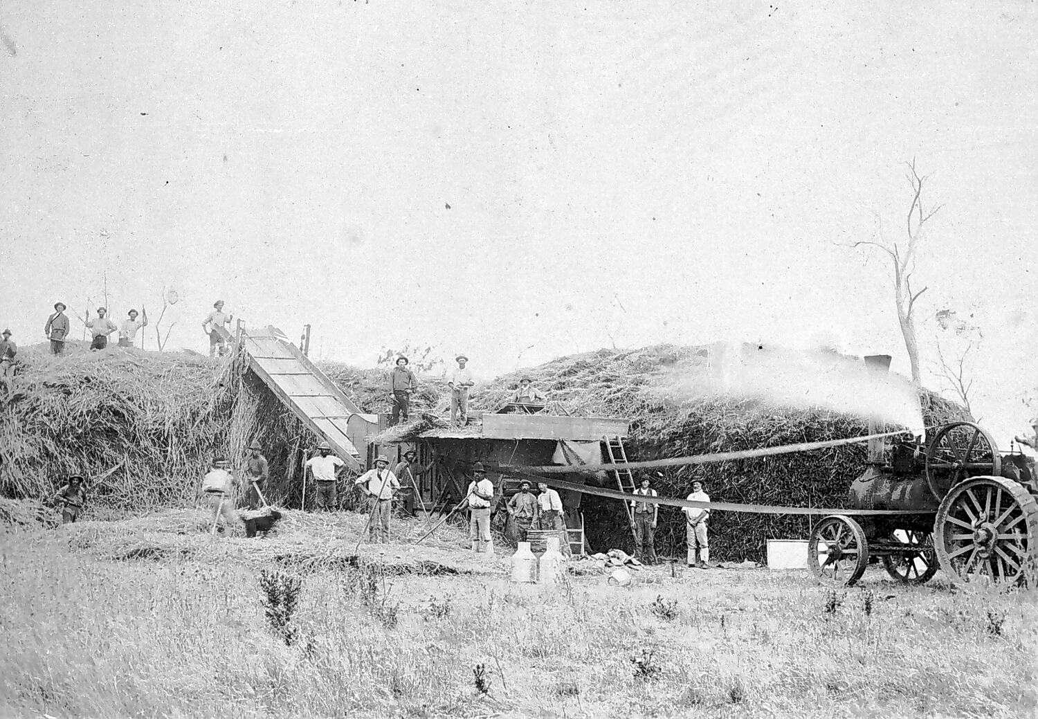 Negative - Western Australia, circa 1895