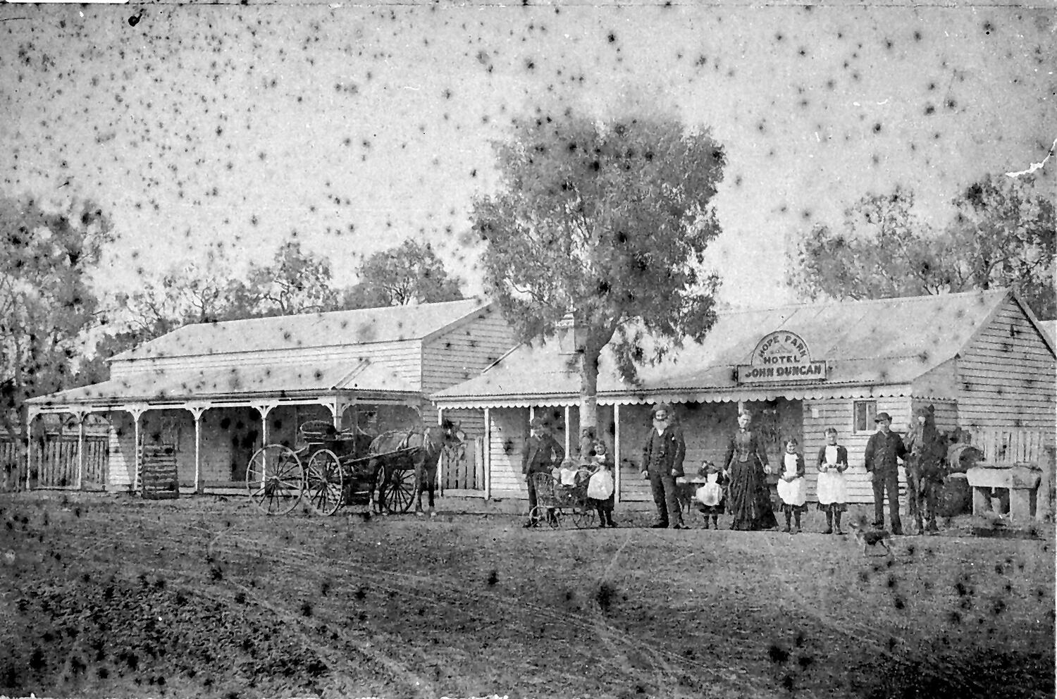 Negative - Dingee, Victoria, circa 1885