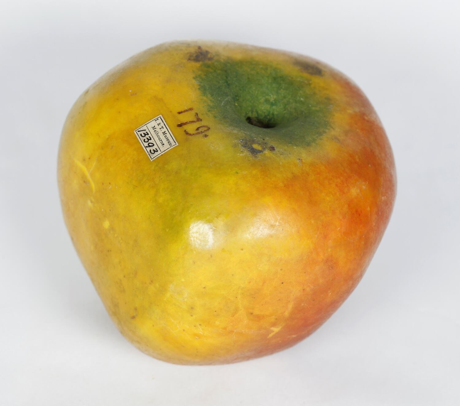 Apple Model - Alfriston, Hazelglen, 1875