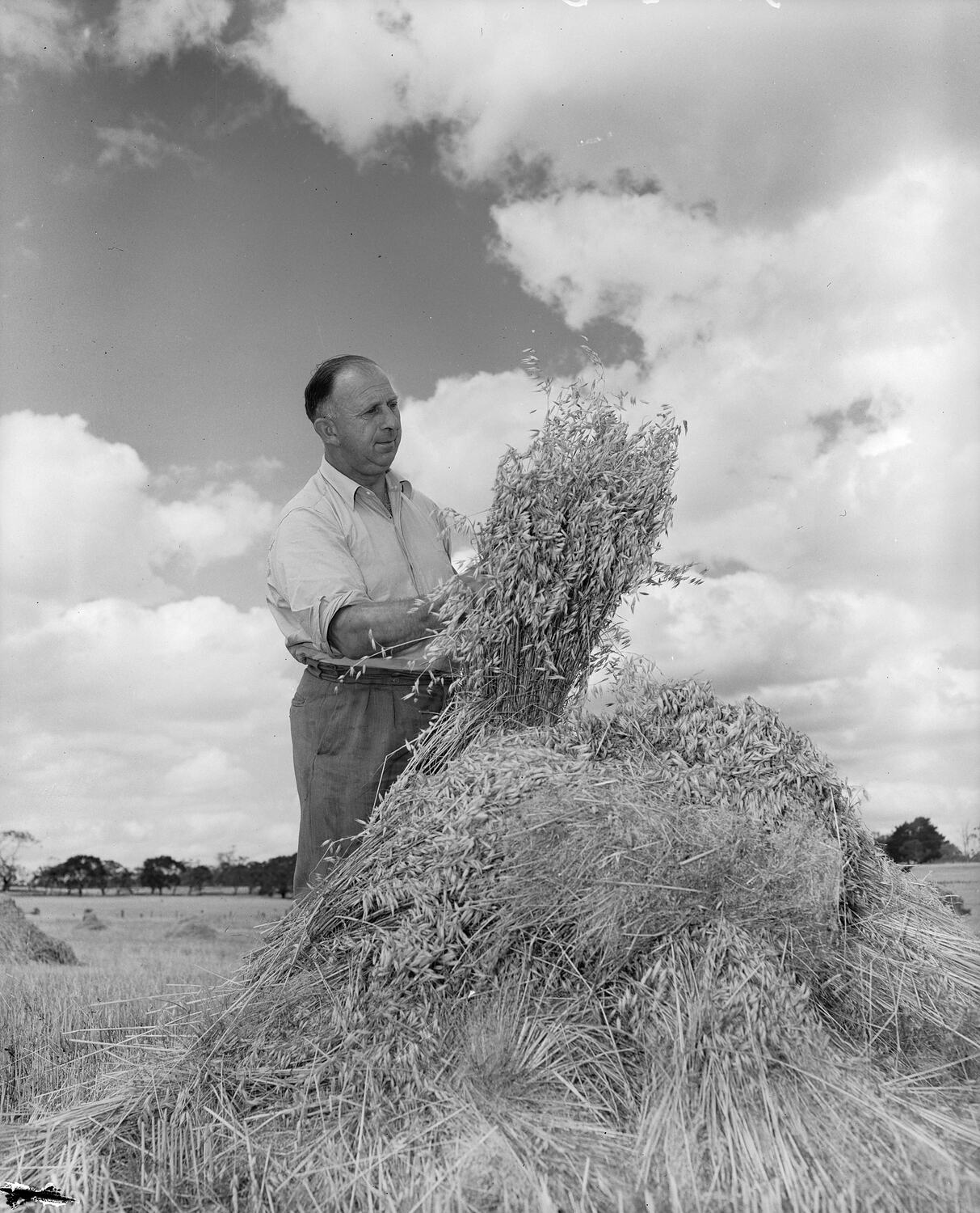 Negative - Portrait of Henry Bolte, Beaufort, Victoria, Jan 1959
