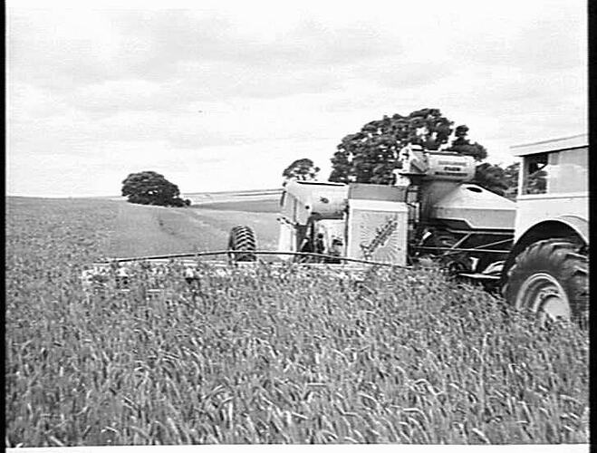 Photograph - H.V. McKay Massey Harris, Farm Equipment Manufacture ...