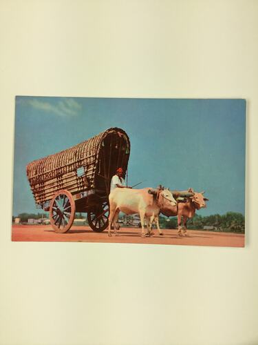 Postcard - Bullock Cart, Colombo, Ceylon, 1697