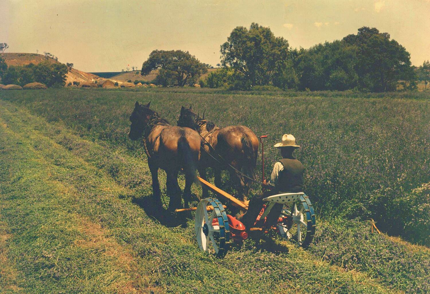 Negative - International Harvester, McCormick-Deering GL-9 Horsedrawn 5 ...