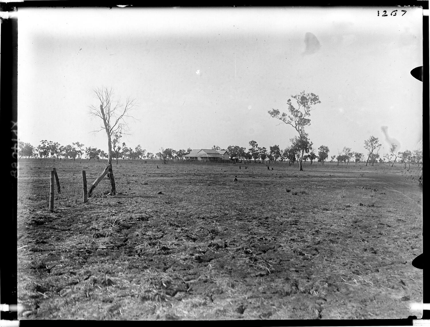 Glass plate. Borroloola, Gulf, Northern Territory, Australia. /11/1901 ...