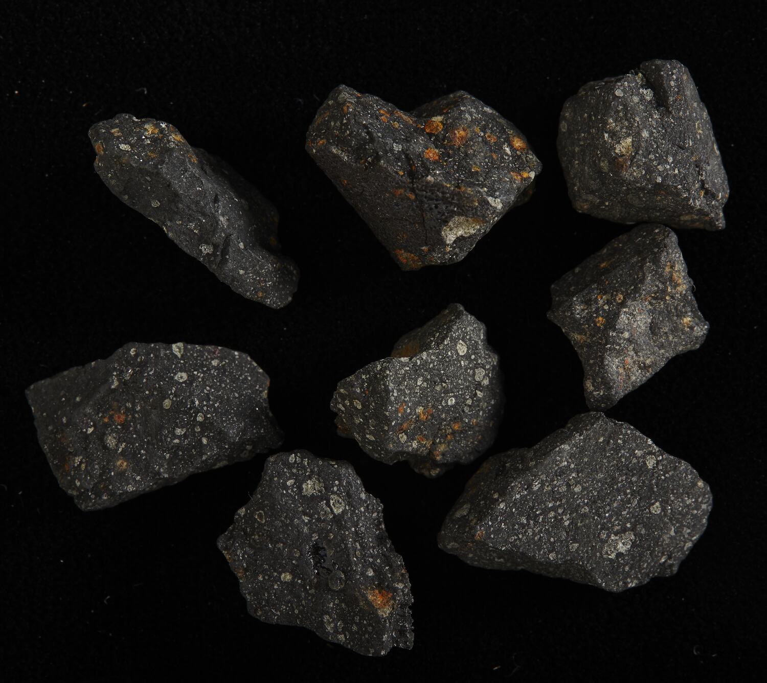 Murchison meteorite