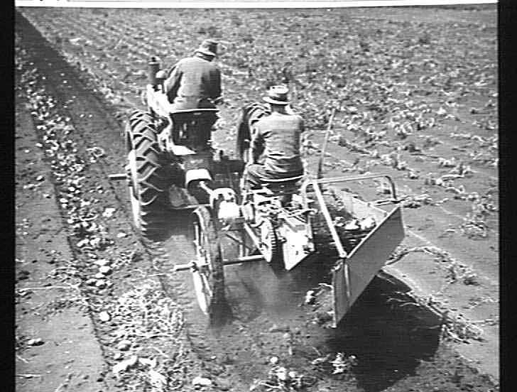 Photograph - H.V. McKay Massey Harris, Farm Equipment Manufacture ...