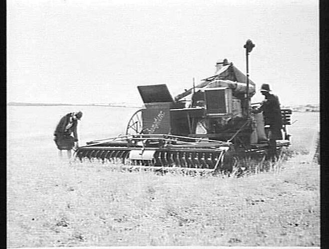 Photograph - H.V. McKay Pty Ltd, Farm Equipment Manufacture & Field ...