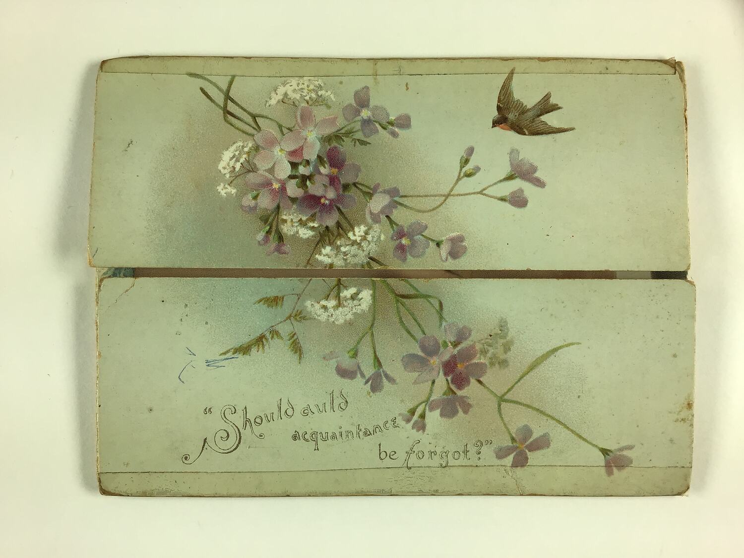 Birthday Card - Francis Bassett-Beel to Grace Stephens, 1852-1854