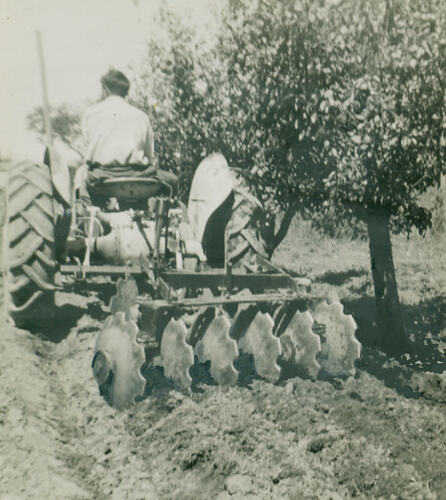 Photograph - Daniel Harvey Pty Ltd, Tractor-Drawn Double-Disc Harrow ...