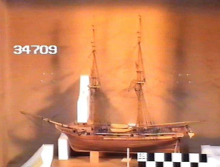 Sailing Ship Model - Brig of War