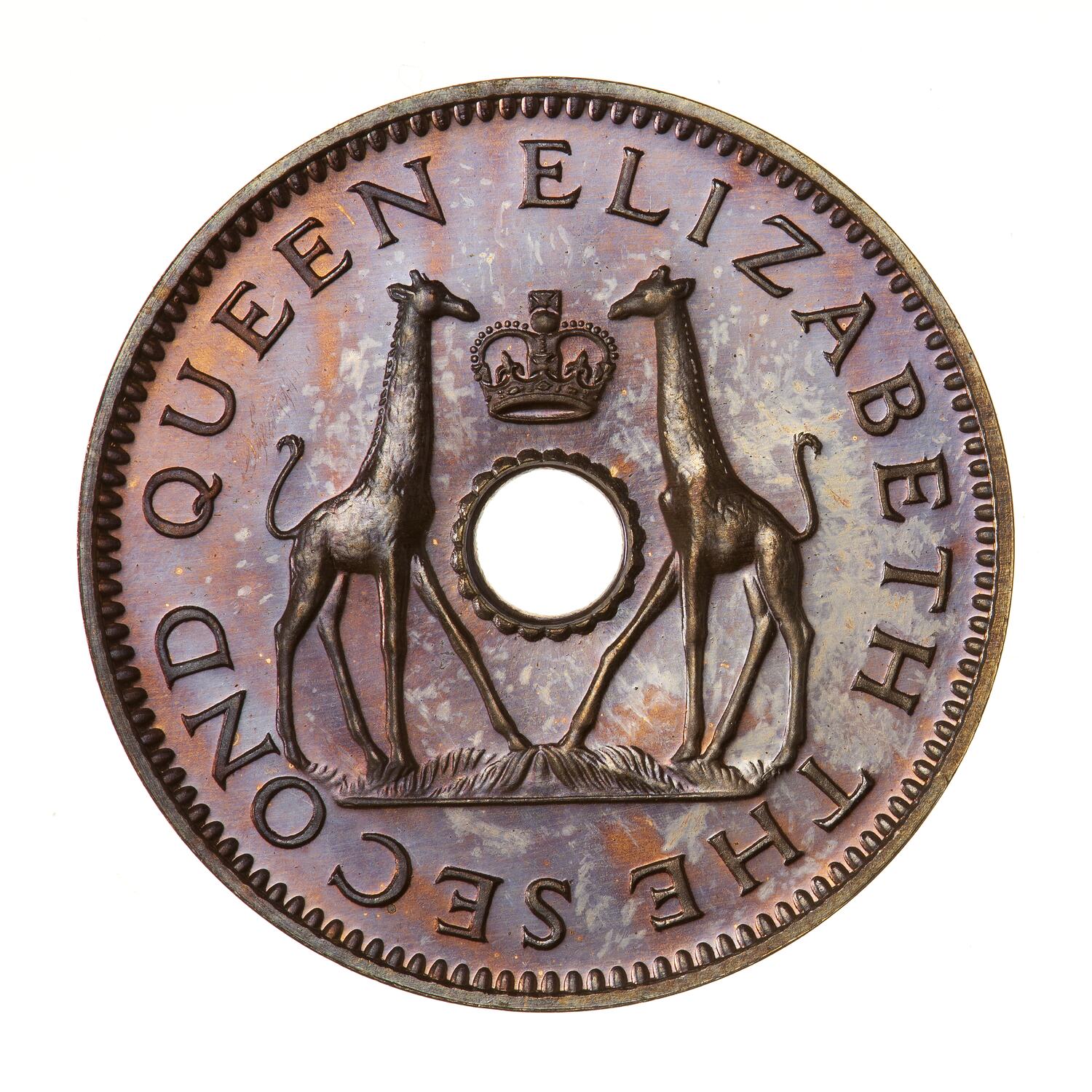Proof Coin - 1/2 Penny, Rhodesia & Nyasaland, 1955