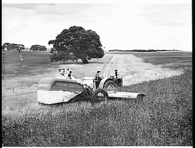 Photograph - H.V. McKay Massey Harris, Farm Equipment Manufacture ...