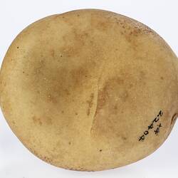 Potato Model - Sequoia, circa 1946