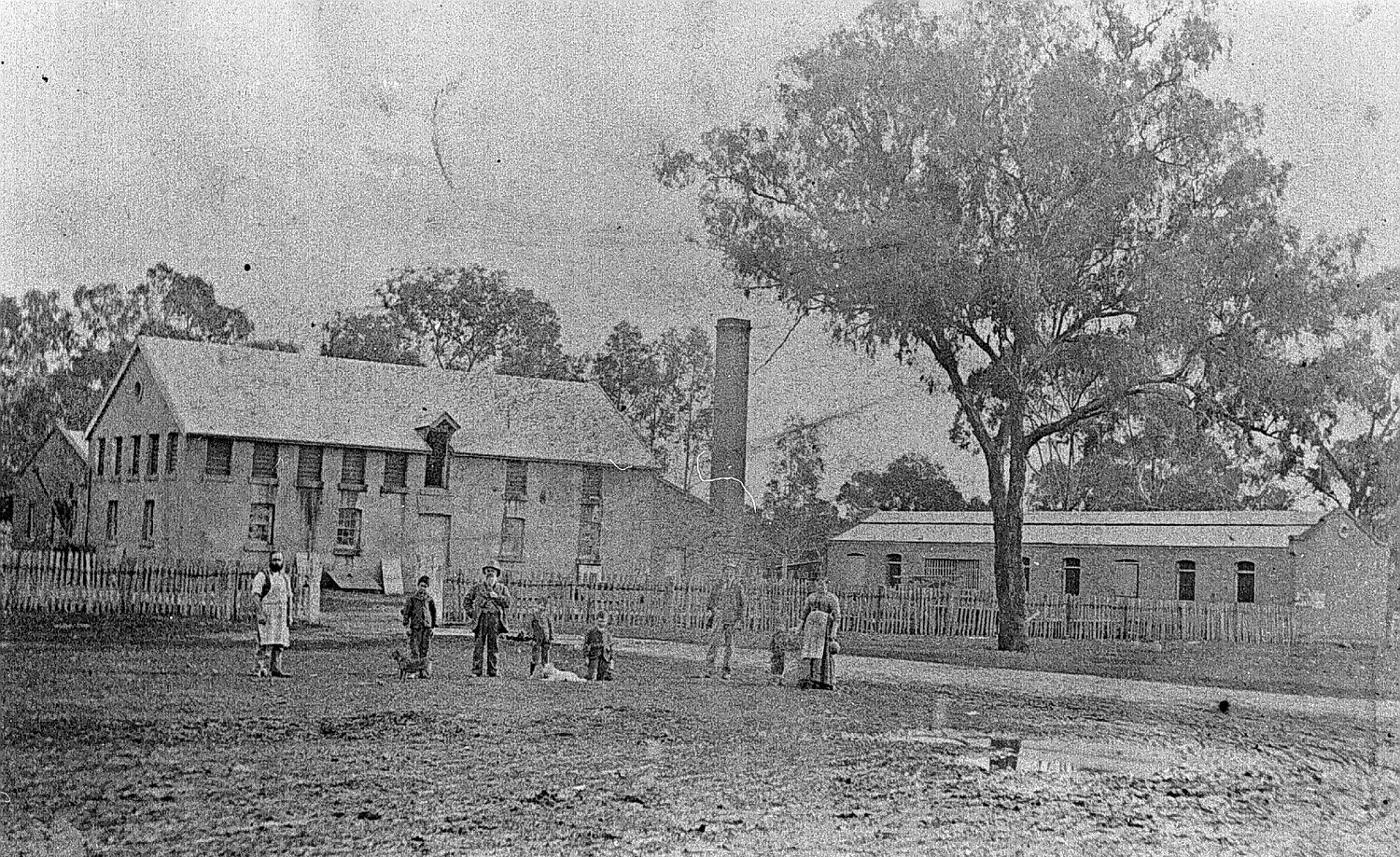 Negative - Group Outside the Cheese Factory, Newbridge, Victoria, circa ...