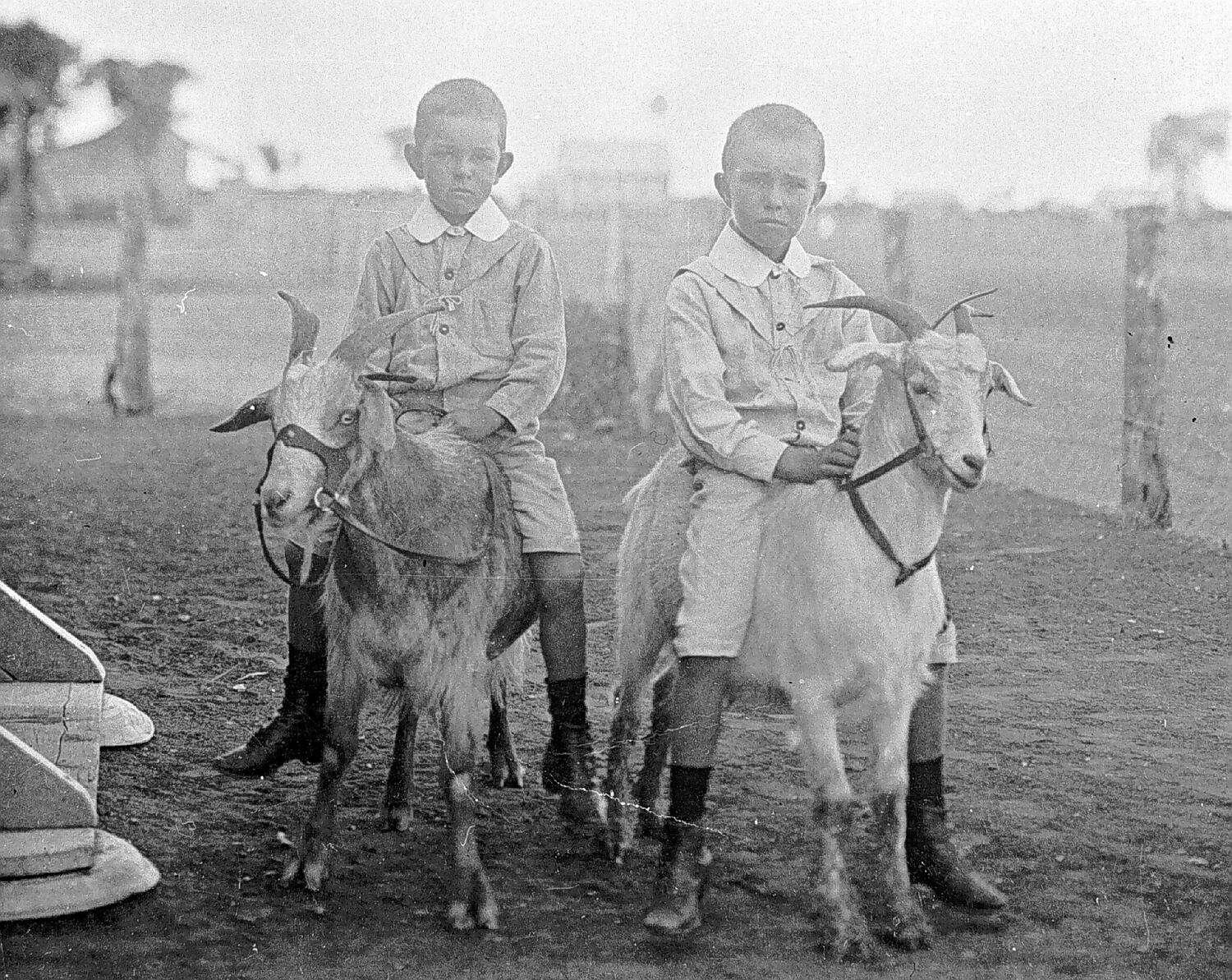 Negative - Isisford District, Queensland, circa 1910