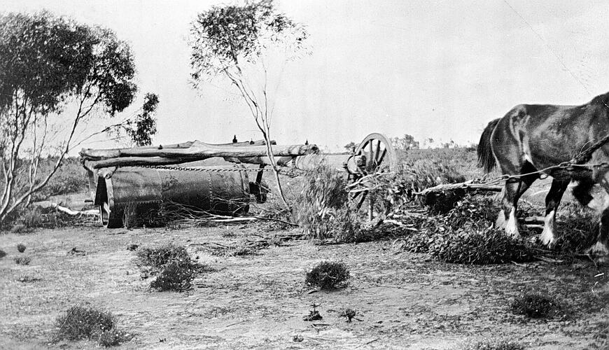 Negative - Manangatang, Victoria, circa 1935