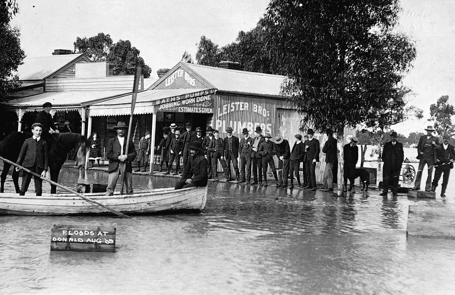 Negative - Donald, Victoria, 1909