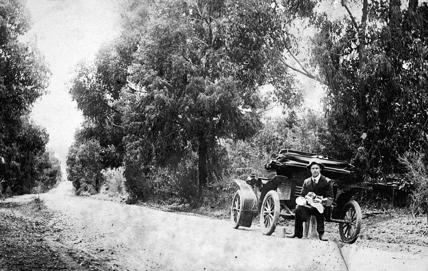 Negative - Drouin District, Victoria, circa 1910
