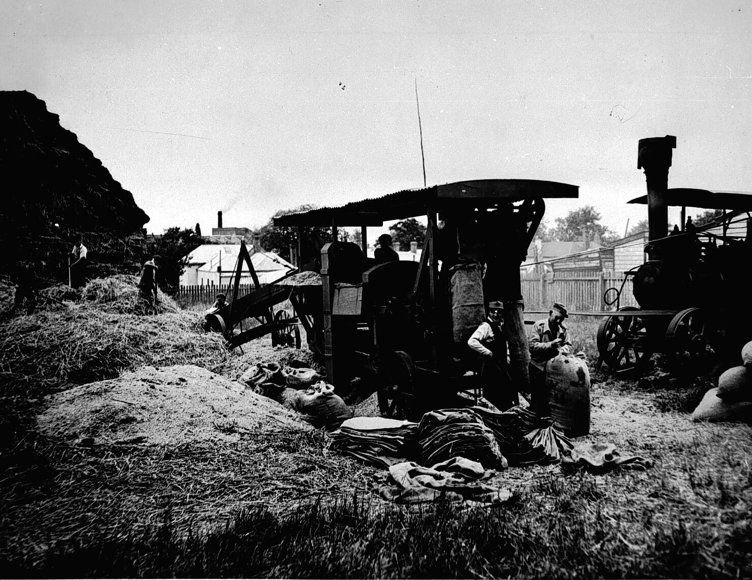 Negative - Contract Chaff-Cutting Team at Work, Ballarat, Victoria, Mar ...