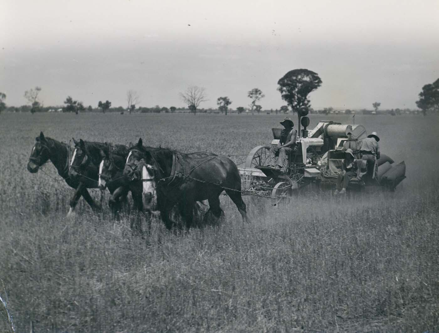Photograph - H.V. McKay Massey Harris, H.S. Taylor Engine Function ...