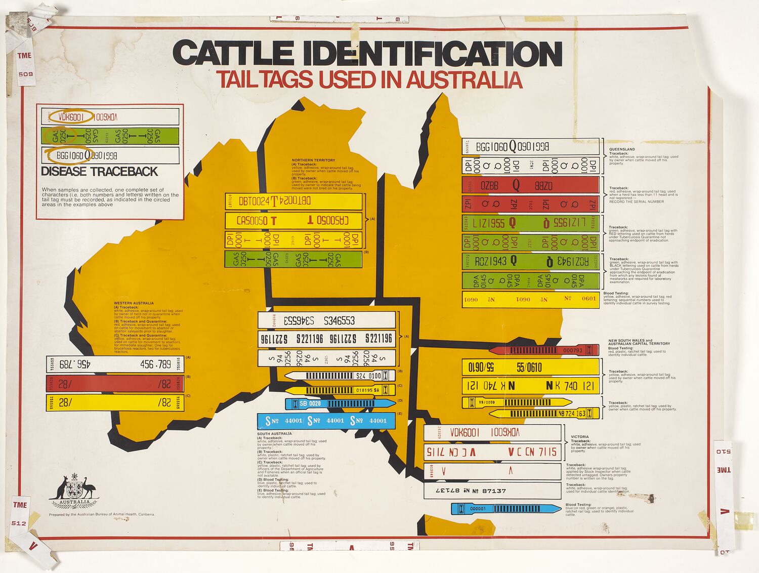 Chart - Cattle Identification, Newmarket Saleyards, Newmarket, circa ...
