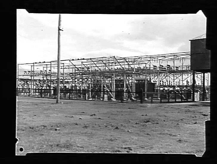Negative - State Electricity Commission, Royston, Victoria, 1920-1940