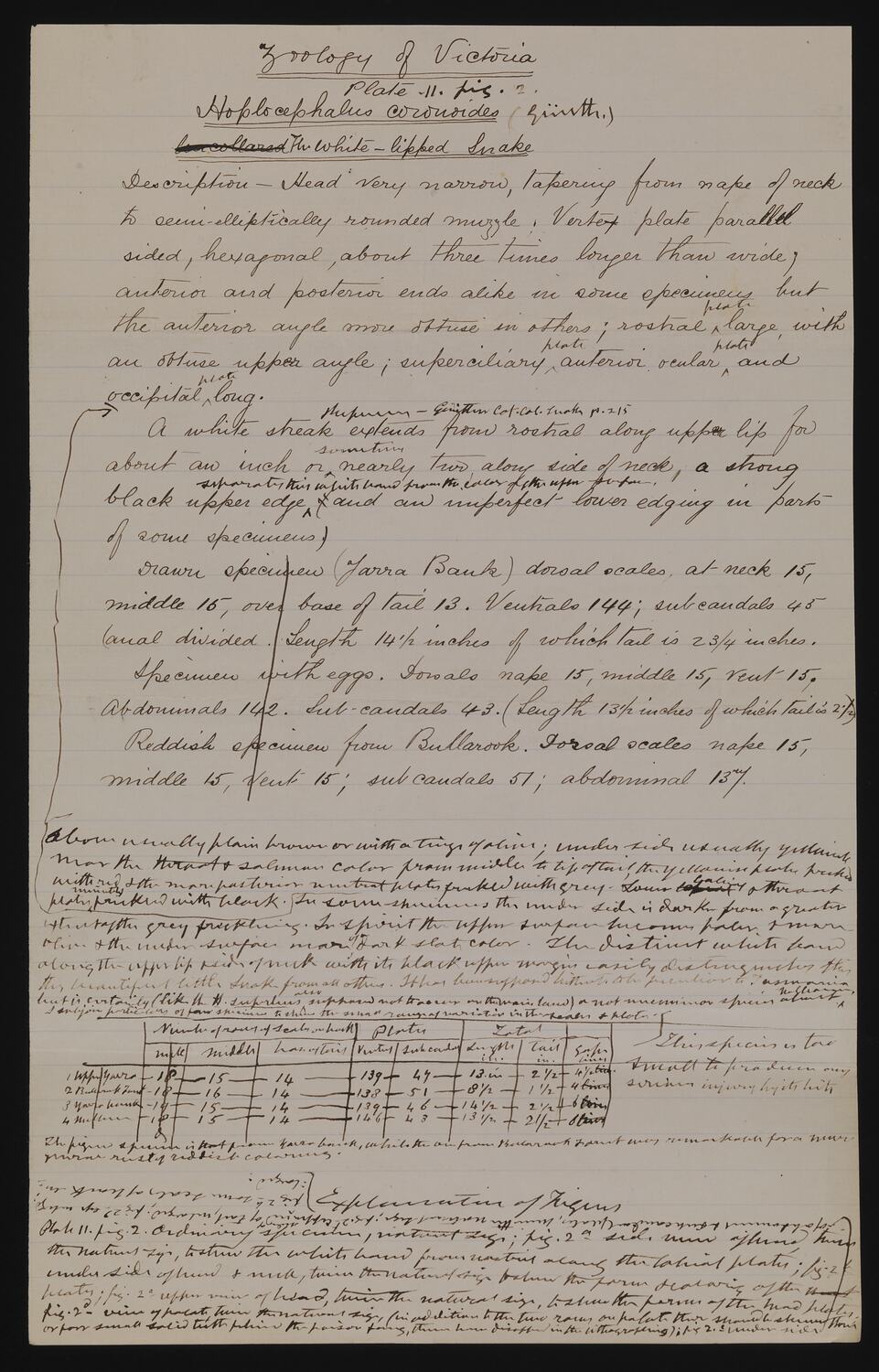 Notes - Ink on Paper