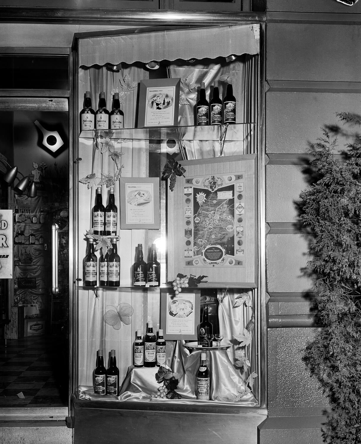 Negative - Window Display at Scotts Hotel, Victoria, 08 Jun 1959