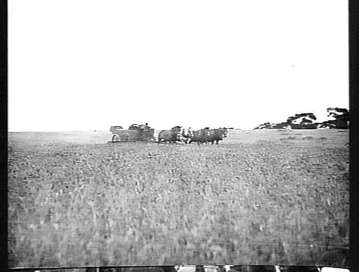 Photograph - H.V. McKay Pty Ltd, Farm Equipment Manufacture & Field ...