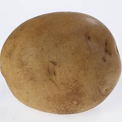 Potato Model - Sequoia, circa 1946