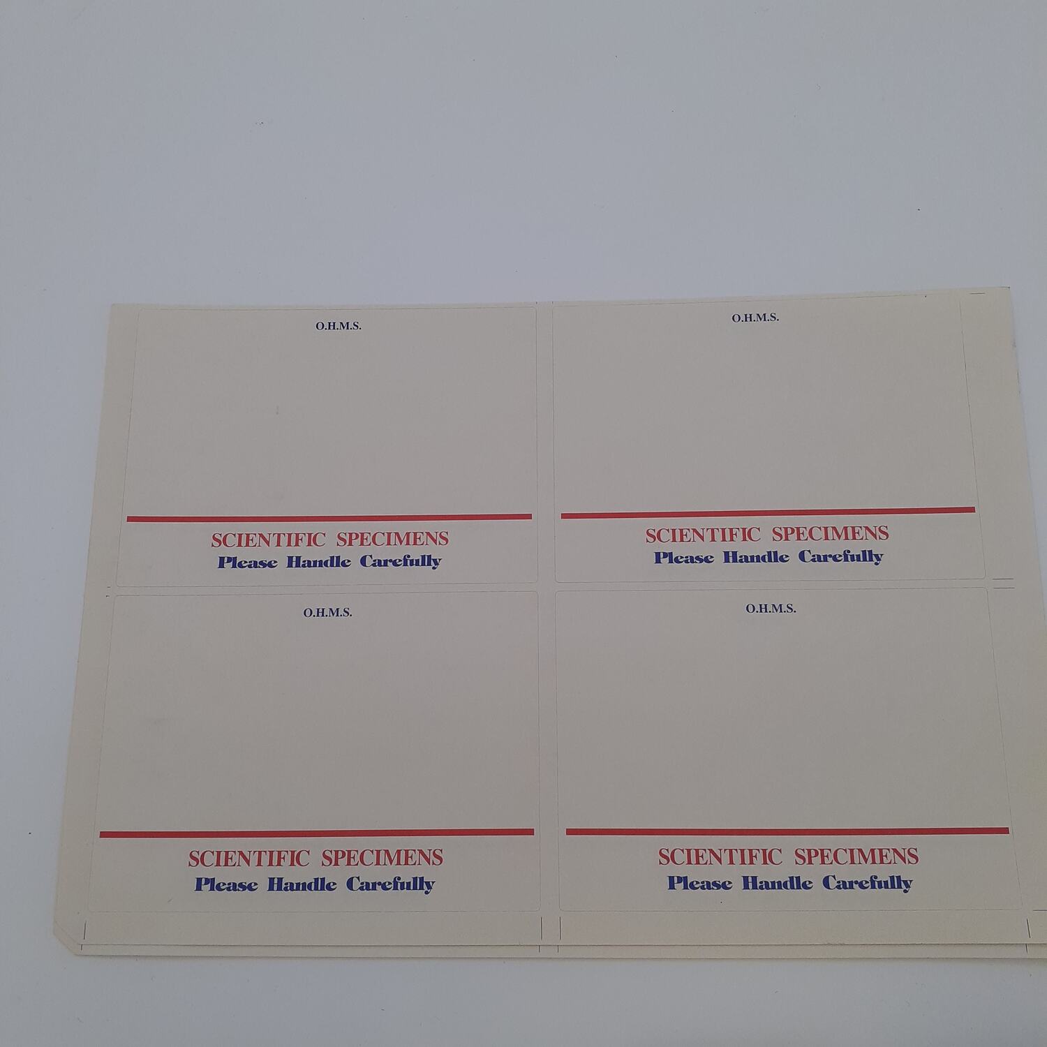 Proforma Labels - 'Scientific Specimens', Paper, Unused, Museum of ...