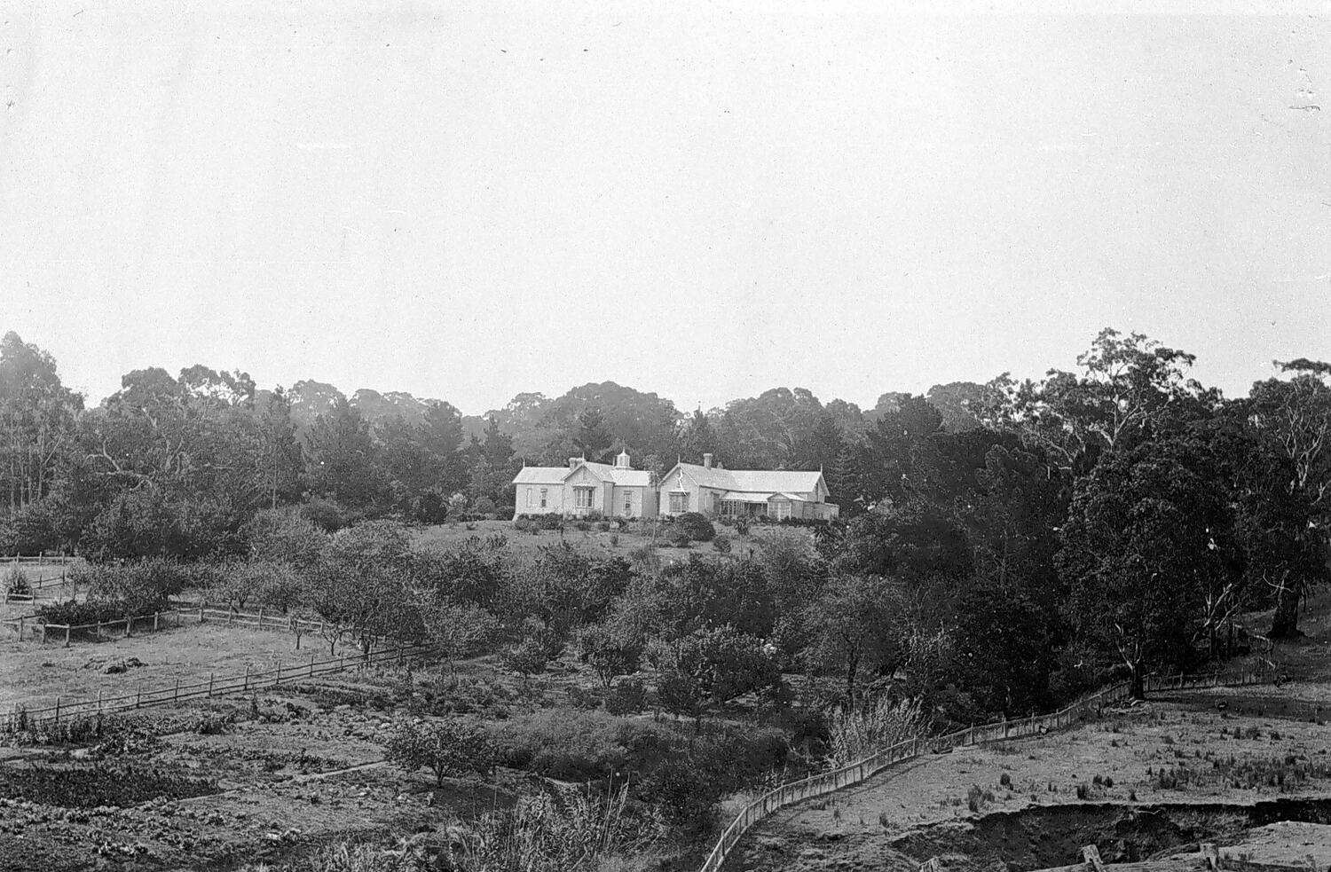 Negative - Farmhouse at 'Warrock' station, Casterton District, Victoria ...