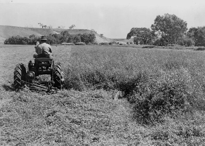 Negative - International Harvester, Farmall A Tractor & 5-Foot #16A ...