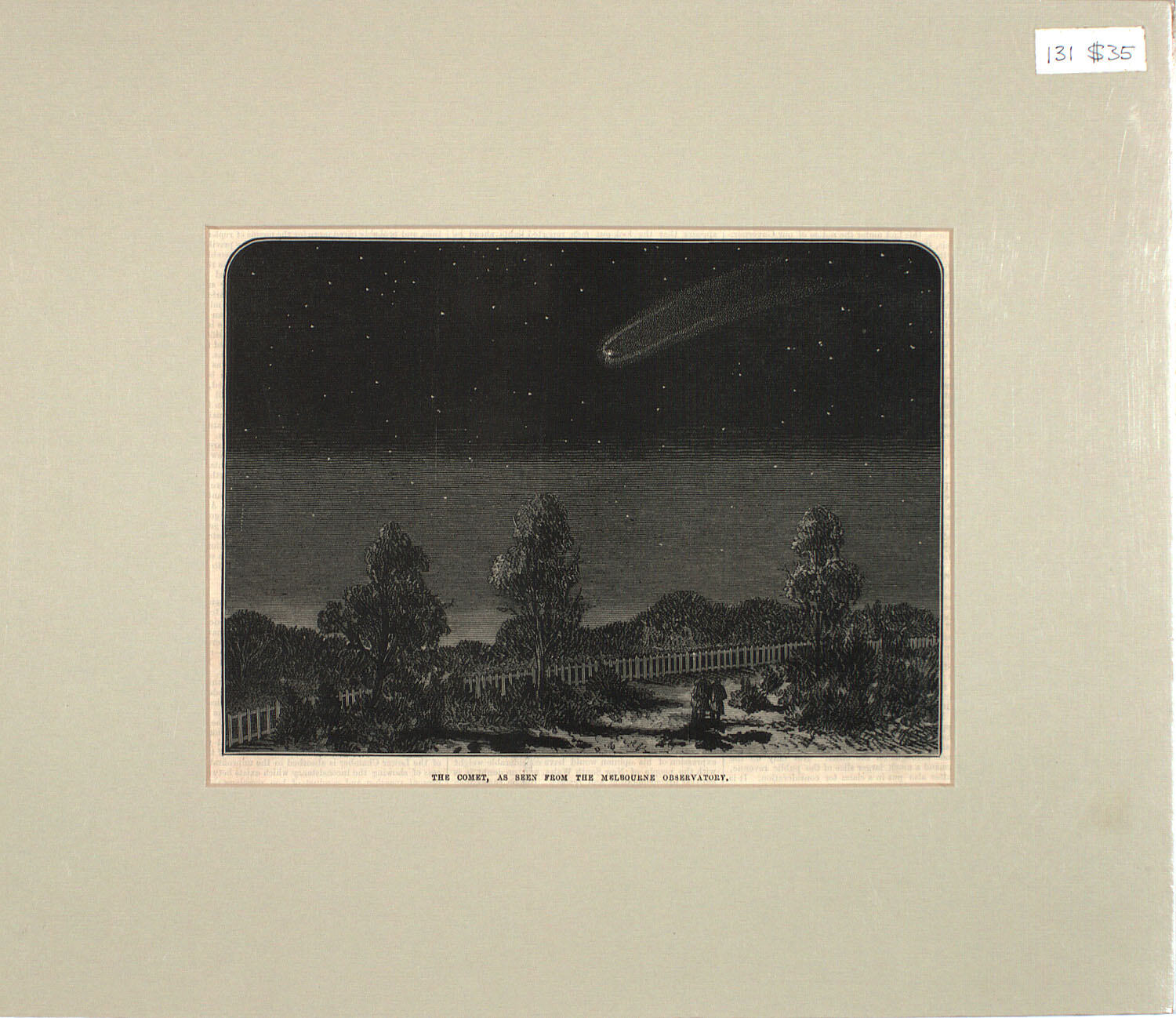 Engraving - 'The Comet, As Seen From the Melbourne Observatory', South ...