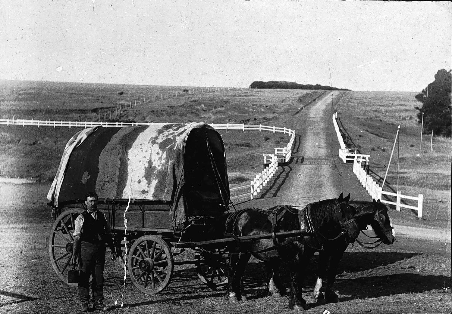 Negative - Lismore, Victoria, circa 1905