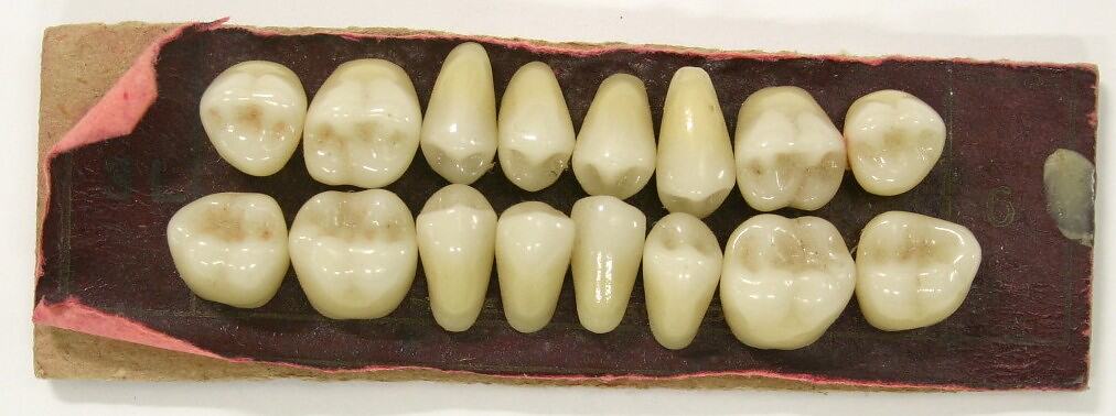 Artificial Teeth - Porcelain Cuspid & Molar, DeTrey's Diatorics, circa 1925