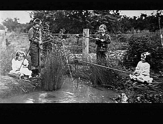 Negative - by Lilian L. Pitts, Merrigum, Victoria, circa 1910