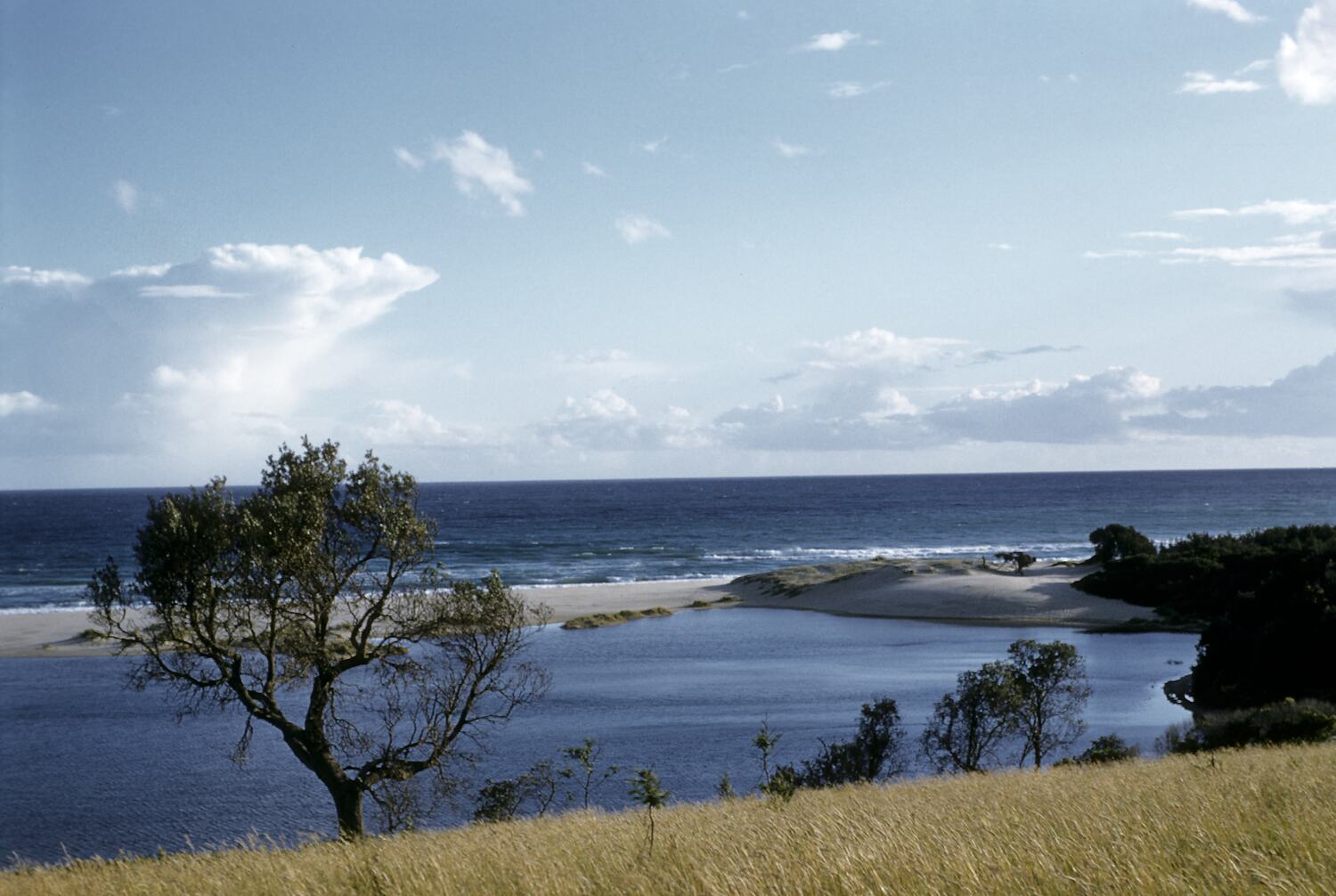 Slide - Sandbar, Lake Tyres, Victoria, Dec 1958