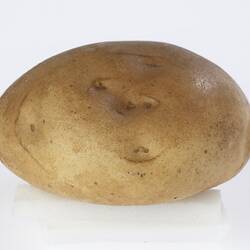 Potato Model - Sequoia, circa 1946