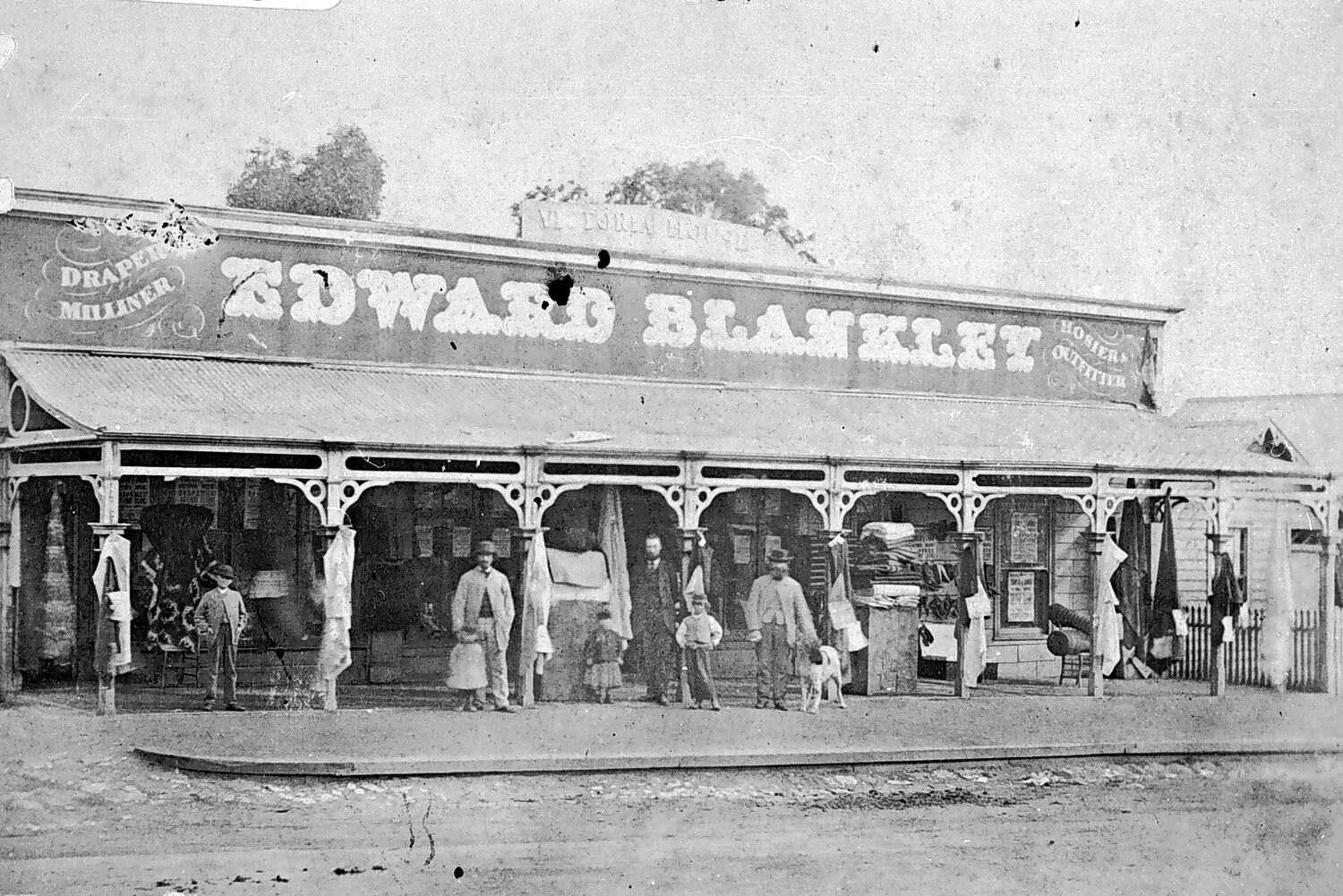 Negative - Durham Ox, Victoria, circa 1875