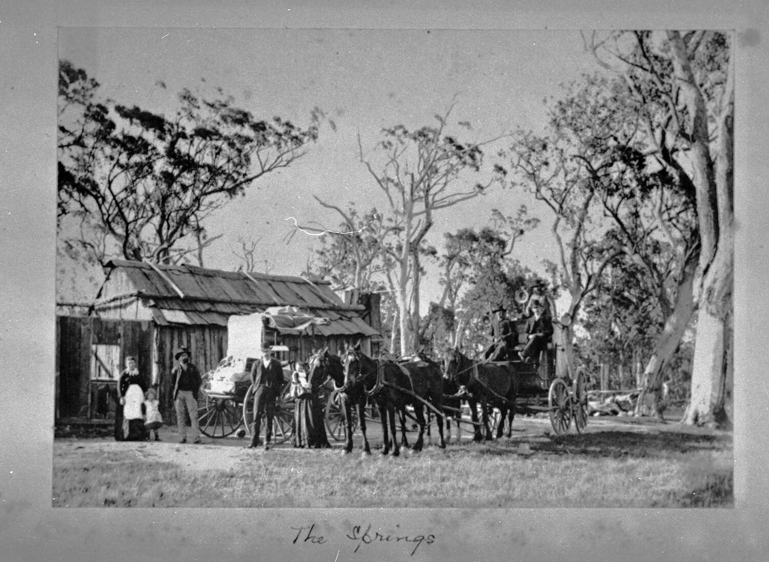 Photograph - by A.J. Campbell, Hepburn Springs (?), Victoria, circa 1890