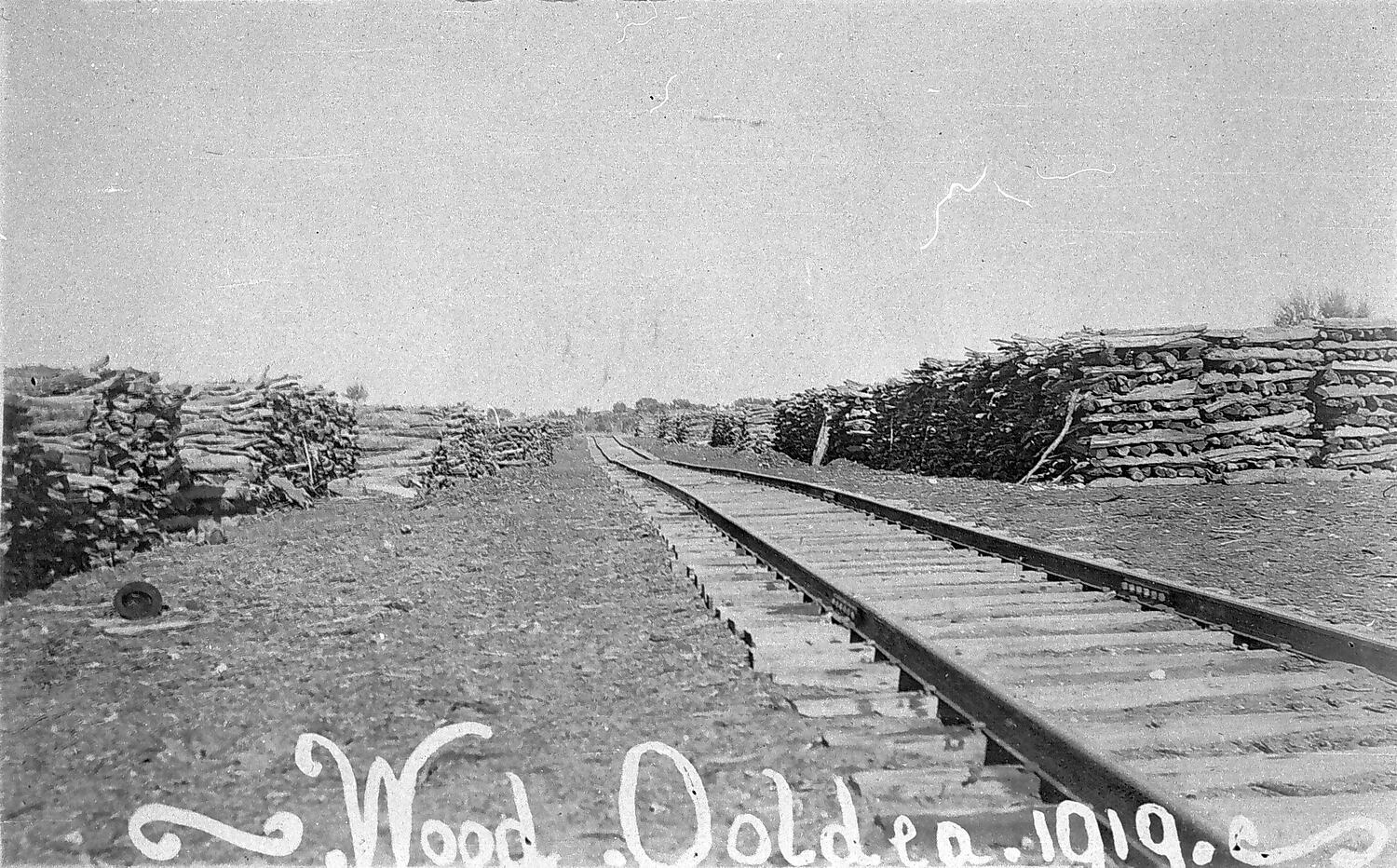 Negative - Ooldea, South Australia, 1919