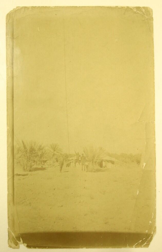 Photograph - Military Camp, Middle East, World War I, 1916-1919
