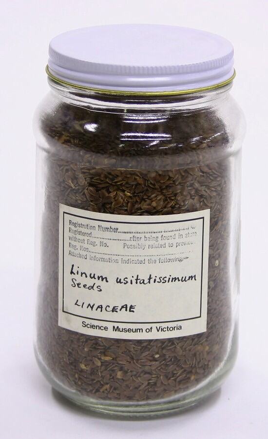 Seed Sample - Linseed, Linum usitatissimum, India, 1880s