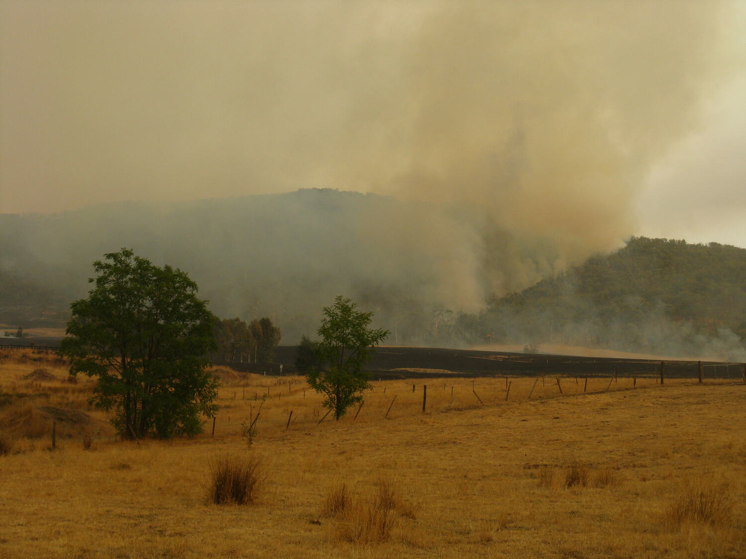 Digital Photograph - Crown Land on Fire, Black Saturday Bushfires ...