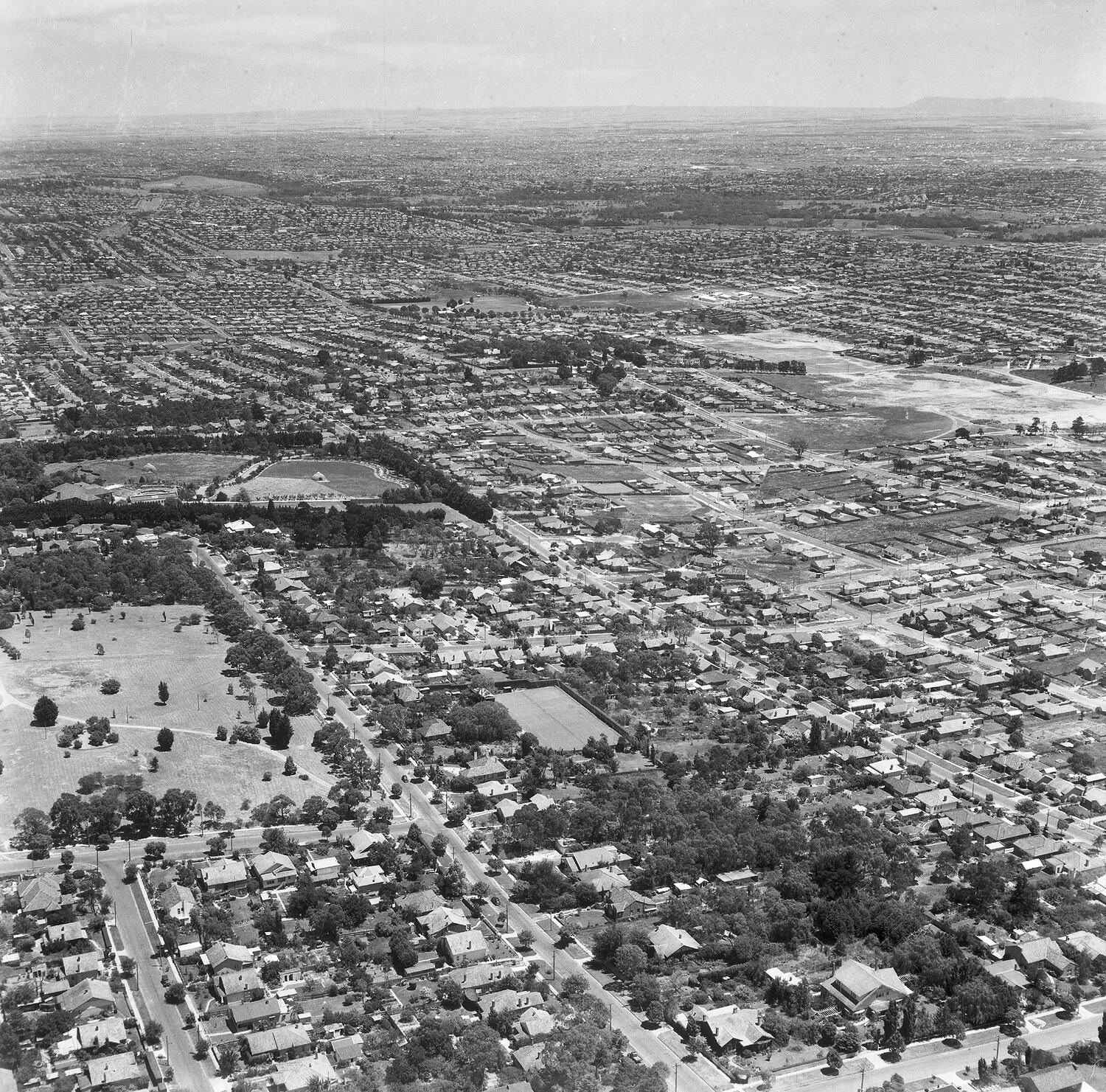 Negative - Aerial View of Balwyn, Victoria, 07 Dec 1955