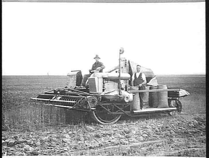 Photograph - H.V. McKay Pty Ltd, Sunshine W-Type Auto Header Harvester ...
